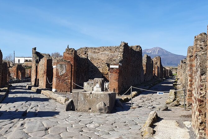 Pompeii Vesuvius Day Tour from Naples with Italian Lunch and Wine