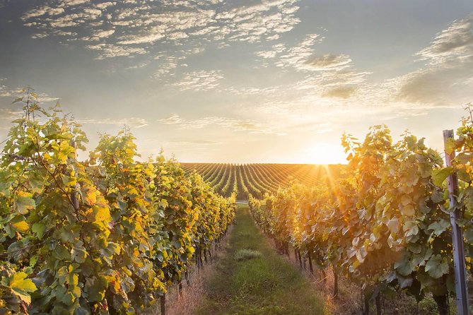 Prague-Vienna One-Way Sightseeing Day Tour - Who Would Enjoy This Tour?