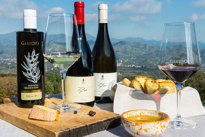Private 6-Hour Tour of Three Etna Wineries with food&wine tasting