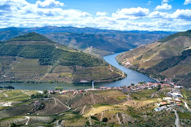 Private Douro Valley Tour: Boutique Winerie & River Cruise - Transport and Practicalities: Why It Matters