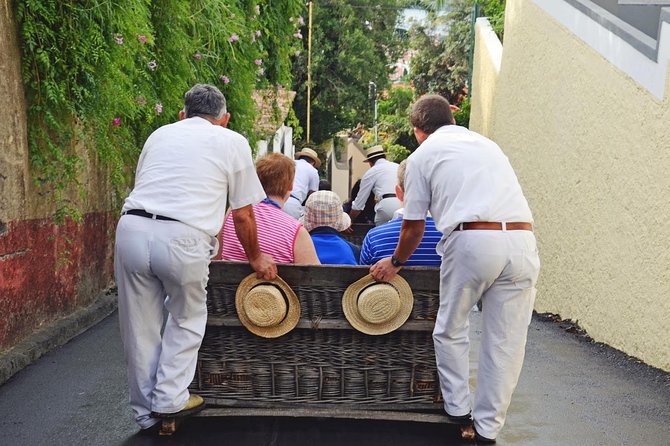 Private Half day tour around Madeira Island - Practical Details and What You Should Know