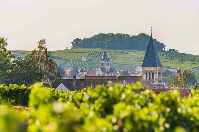 Private tour of the Champagne area, meet local producers and taste their Champagne, start from your hotel in Paris. - What Travelers Say
