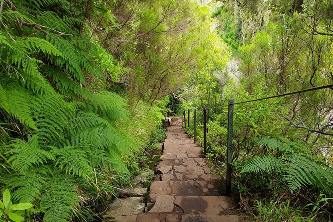 Rabaçal - 25 Fonts - The Scenery and Experience