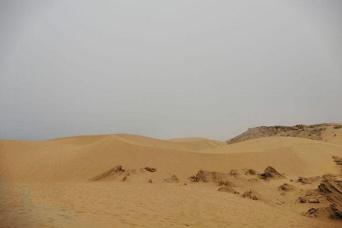 Sandboarding guided experience from Agadir - The Value of This Tour