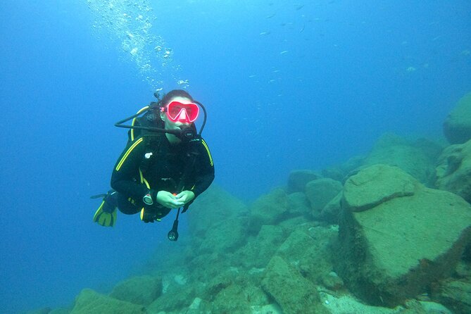 Scuba Dive excursion for Beginners in a Turtle Area