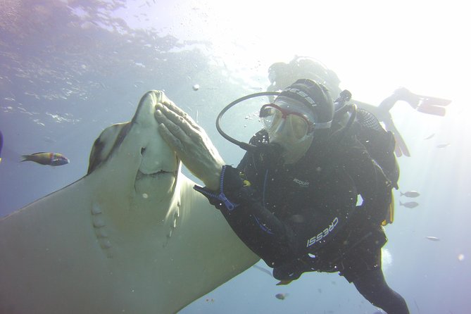 Scuba Diving Beginner's Session in Costa Adeje