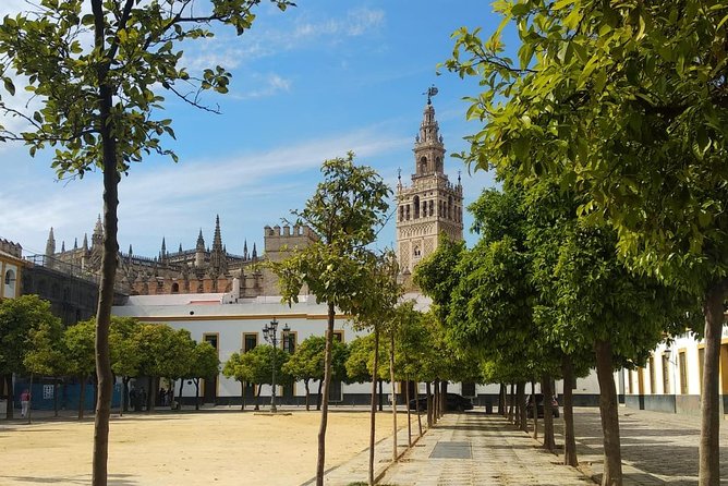 Seville Highlights Private Walking Tour - What Makes This Tour Stand Out?