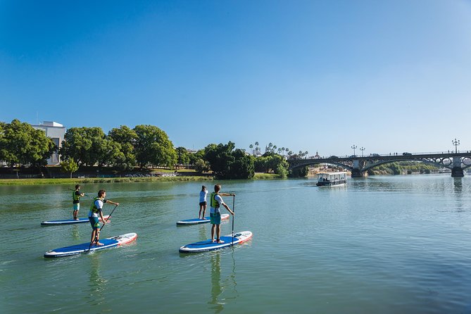Seville: Paddle Surf Route and Class