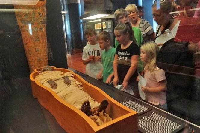 Skip the Line Vatican and Sistine Chapel Tour for Kids and Family - Why This Tour Works for Families