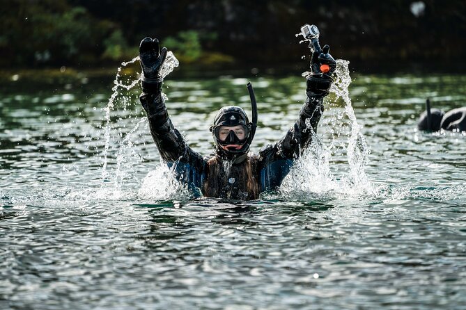 Snorkel the Silfra Fissure-Meet on Location (Free Photos & Cocoa)