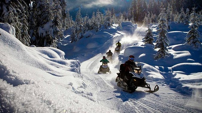 Snowmobile & Animals Day Tour - What We Think of the Value and Practicalities