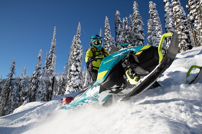 Snowmobile Safari through Lappish Forest from Rovaniemi - Who Should Consider This Tour?