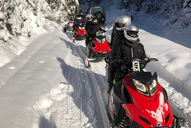 SnowMobiles Tour in Carpathian Mountains - The Sum Up