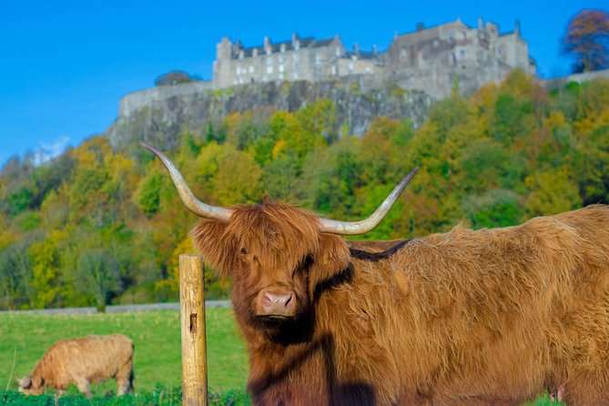 Stirling Castle,Trossachs National and Loch Lomond Day Tour from Edinburgh - Who Should Consider This Tour?