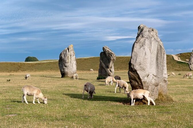 Stonehenge and The Stone Circles of Avebury Day Trip from London - The Practicalities: What This Tour Means for You