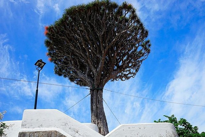 Tenerife Full Island Tour - FAQs