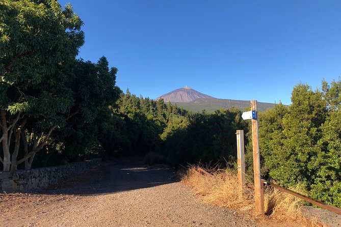 Tenerife Grand Tour: including Teide National Park and Masca - Authentic Experiences and Perspectives