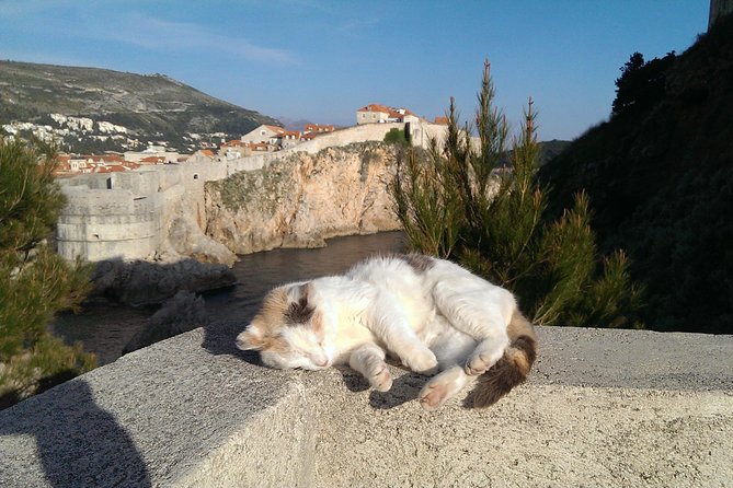 Tour The Game of Throne - Private Driving Tour - Who Will Love This Tour?