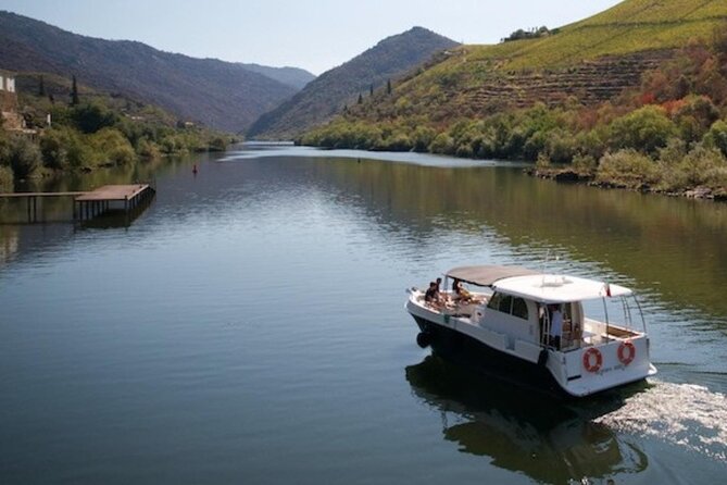 VALE DOURO: Premium Wine, Lunch Wine & Private Boat Tour - Value and Considerations