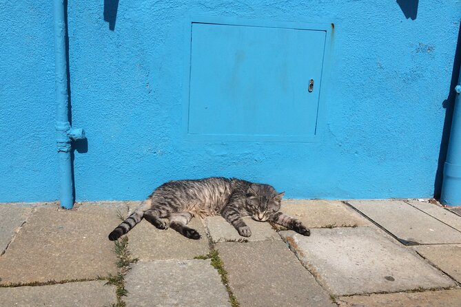 Venice Islands Boat Trip Murano Burano,(Torcello) - Murano: The Art of Glassmaking