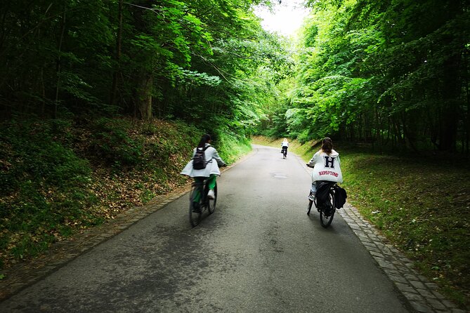 Versailles Full-Day Electric Bike Tour : Market, Picnic & Palace