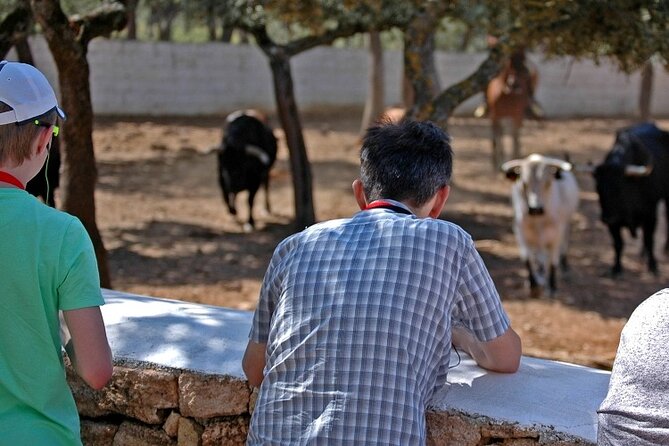 Visita Entre Toros y Caballos - The Lessons and Atmosphere