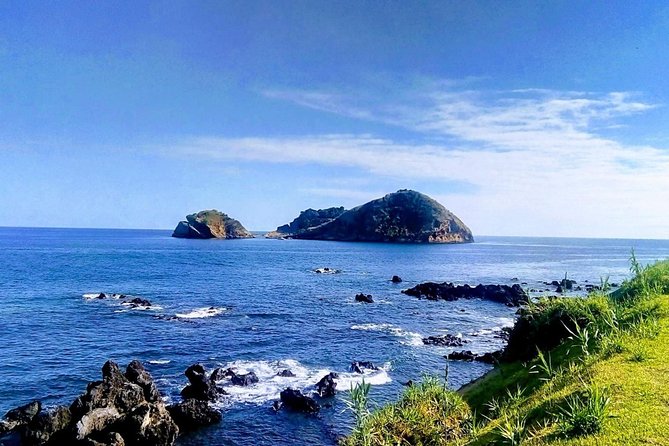 Whale Watching Tour + Vila Franca Islet: Full-day with lunch