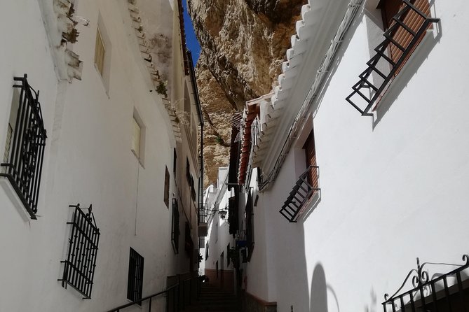 White Villages and Ronda Day Trip from Seville - The Detailed Itinerary: What Youll See and Do