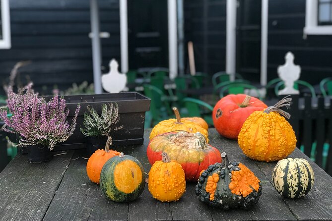 Zaanse Schans and Giethoorn Small-Group Tour with Hotel Pick-Up - Transportation and Group Size