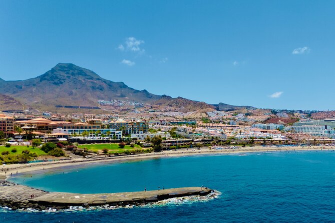 5 hrs. Watching and listening whales and dolphins visiting Los Gigantes - FAQ