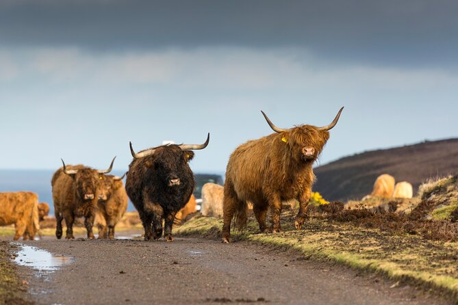 8-Day Isle of Skye, Orkney & North Coast 500 tour from Edinburgh - Final Thoughts