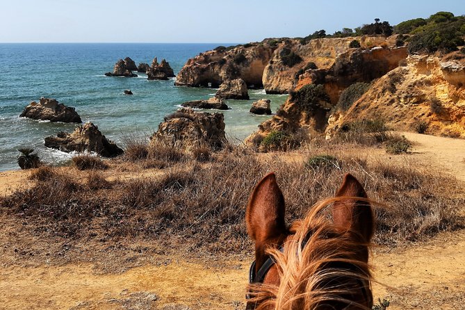 Algarve - Exclusive horseriding in Portimao (no experience required) - The Sum Up: Who Will Love This Tour?