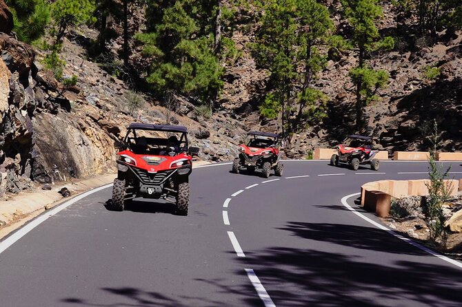 Buggy tour to Teide in Tenerife - Who Will Love This Tour?