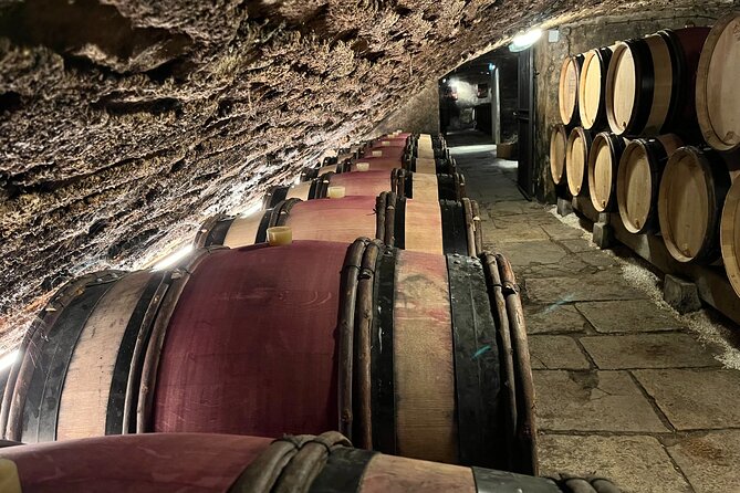 Burgundy Grand Crus Route Day Tour - 14 Wines Tastings in Domains - The Sum Up: Who Is This Tour Best For?