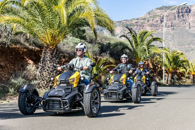 Can-am Ryker three wheels tricycle Mountain Tour (Maspalomas) - Final Thoughts: Who Will Love This Tour?