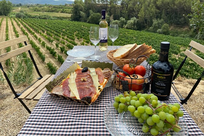 Cava tour to 3 family wineries with hotel pick-up - Who Will Love This Tour?