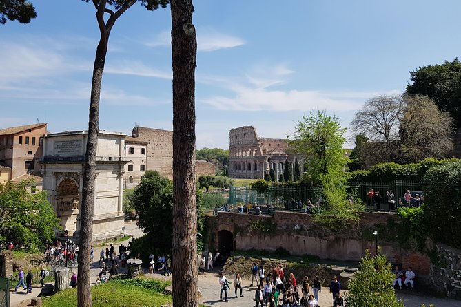 Colosseum Arena Floor, Roman Forum and Palatine Hill Guided Tour - Who Should Book This Tour?