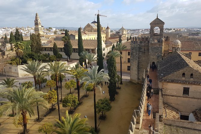 Cordoba Private Tour with Mosque Entrance from Seville - What the Reviews Reveal