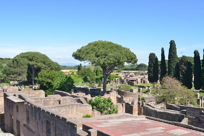 Daily life in Ostia Antica (private tour) - Practical Details and Value