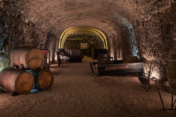 Day Tour of Chateaux of Chenonceau, Chambord & Caves Ambacia from Tours/Amboise - Authenticity and Caveats