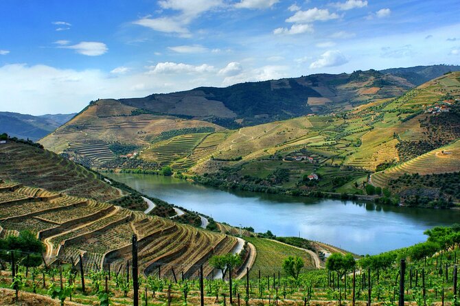 Douro Valley and Régua Panoramic Cruise with Lunch from Porto - Who Will Love This Tour?
