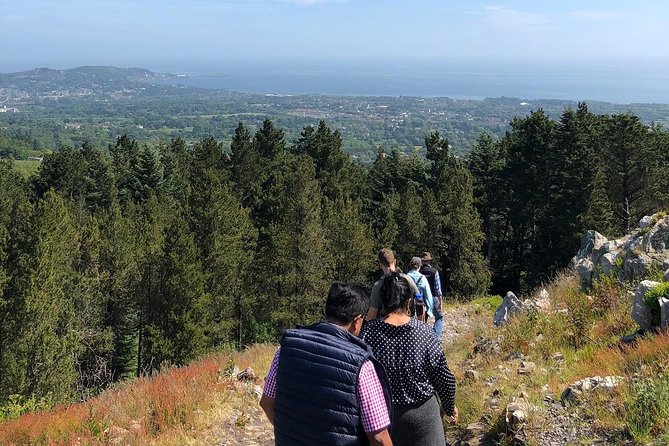 Dublin to Wicklow, Glendalough Small Group Tour with Guided Walk - The Sum Up