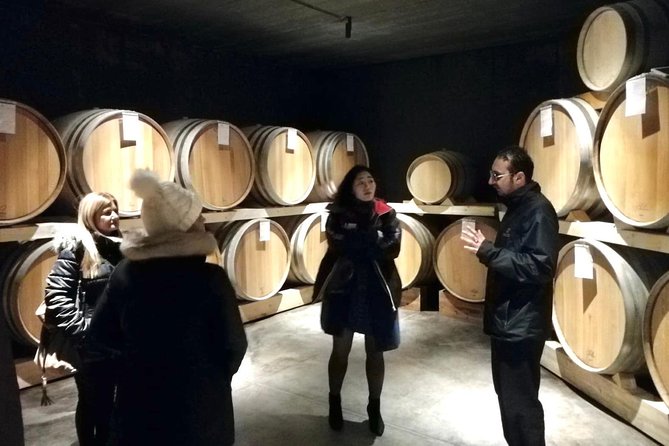 Etna Wineries Tour - Small Groups from Taormina - Transportation and Group Size