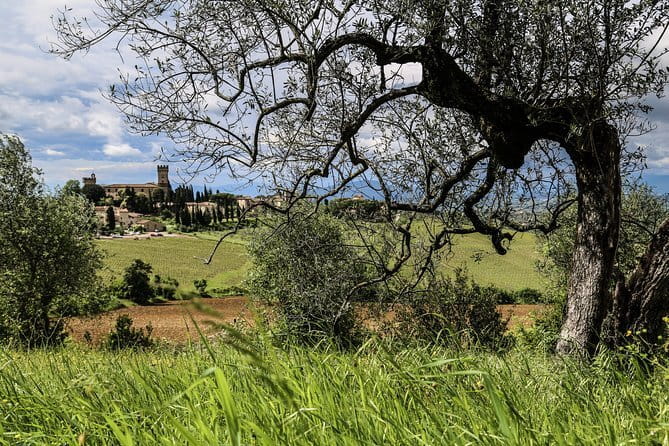 Florence to Tuscany: Chianti, Siena, San Gimignano & Wine + Lunch - Authentic Experiences and Highlights