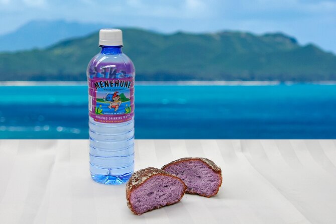 Grand Circle Island and Haleiwa 9 Hour Tour - The Transportation and Group Size