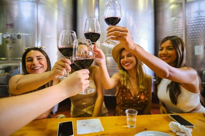 Half day Chianti Vineyard Escape from Florence with Wine Tastings - Final Thoughts: Who Will Love This Tour?