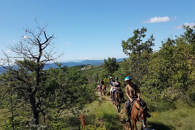 Horse ride in Haute Provence Luberon and Forcalquier - Practical Pointers for a Smooth Ride