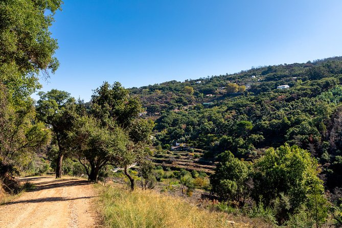 Jeep Safari #1 in Algarve - What Travelers Say: Authentic Experiences Matter