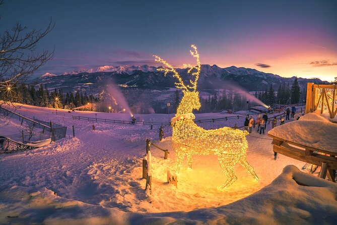 Krakow: Zakopane Tour, Tatra Mountains & Cable Car (Hotel Pickup) - Who Is This Tour Best For?