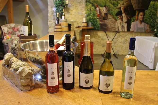 Lisbon Southern Region (Fernão Pó) Wine Tasting Private Tour - Who Should Consider This Tour?